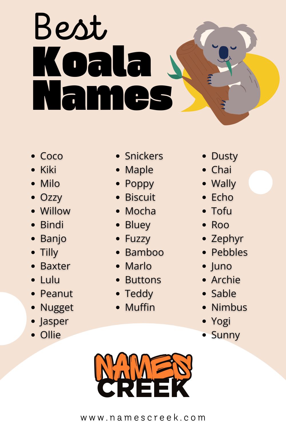 520 Best Koala Names: Creative Ideas For Naming Your Pet + Ai Generator