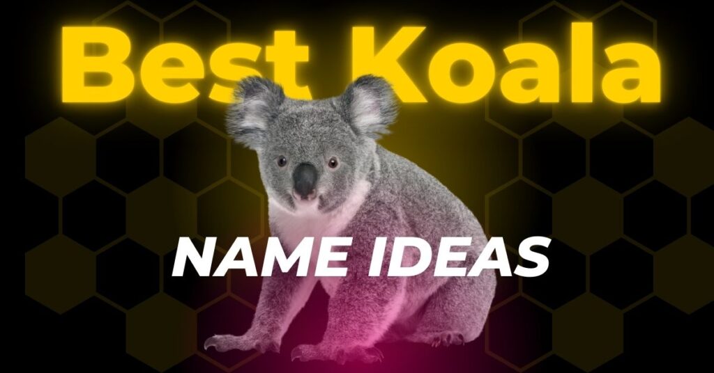 520 Best Koala Names: Creative Ideas For Naming Your Pet + Ai Generator