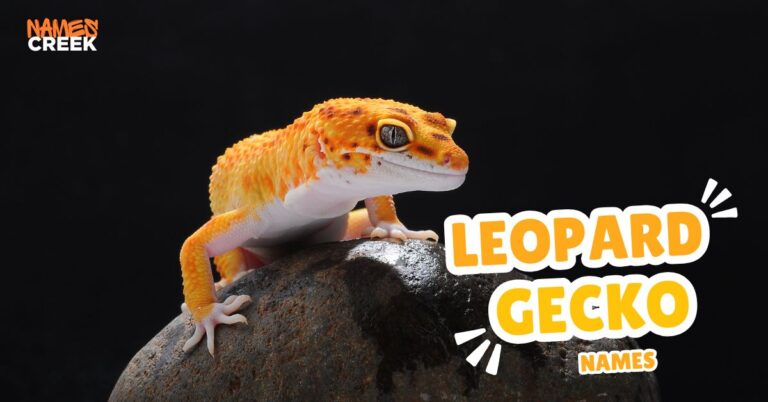 540 Cool And Awesome Leopard Gecko Names