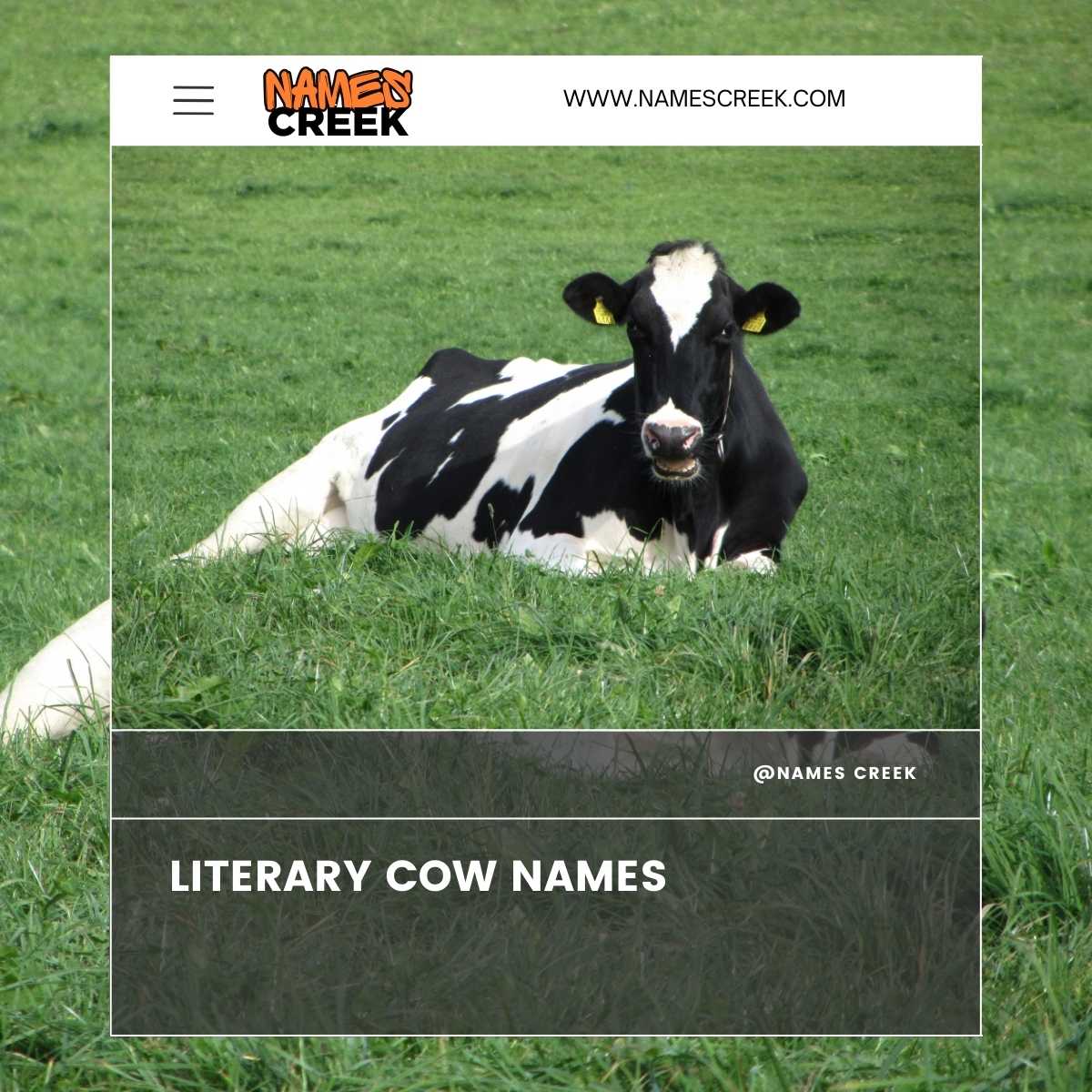 700 Cow Names: A Comprehensive List