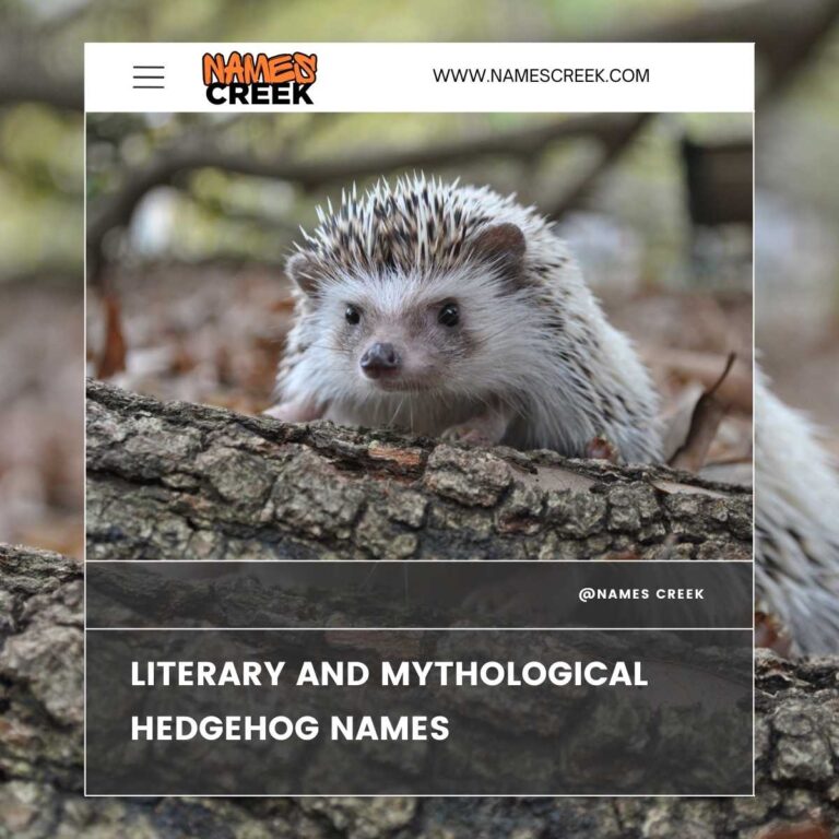 410+ Awesome Hedgehog Names
