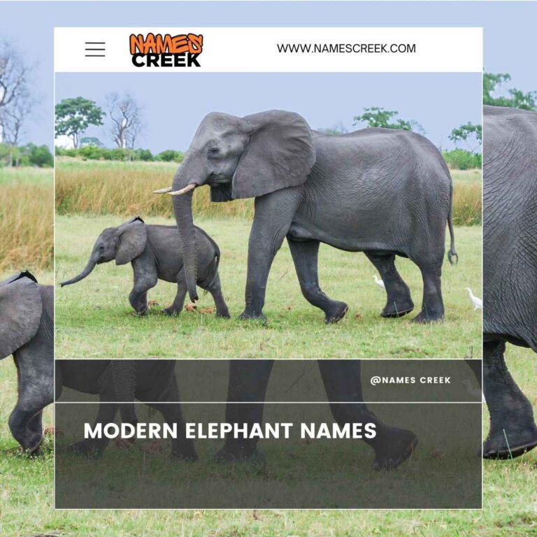 160 Funny Elephant Names : Get Ready To Laugh Out Loud! (With Generator)