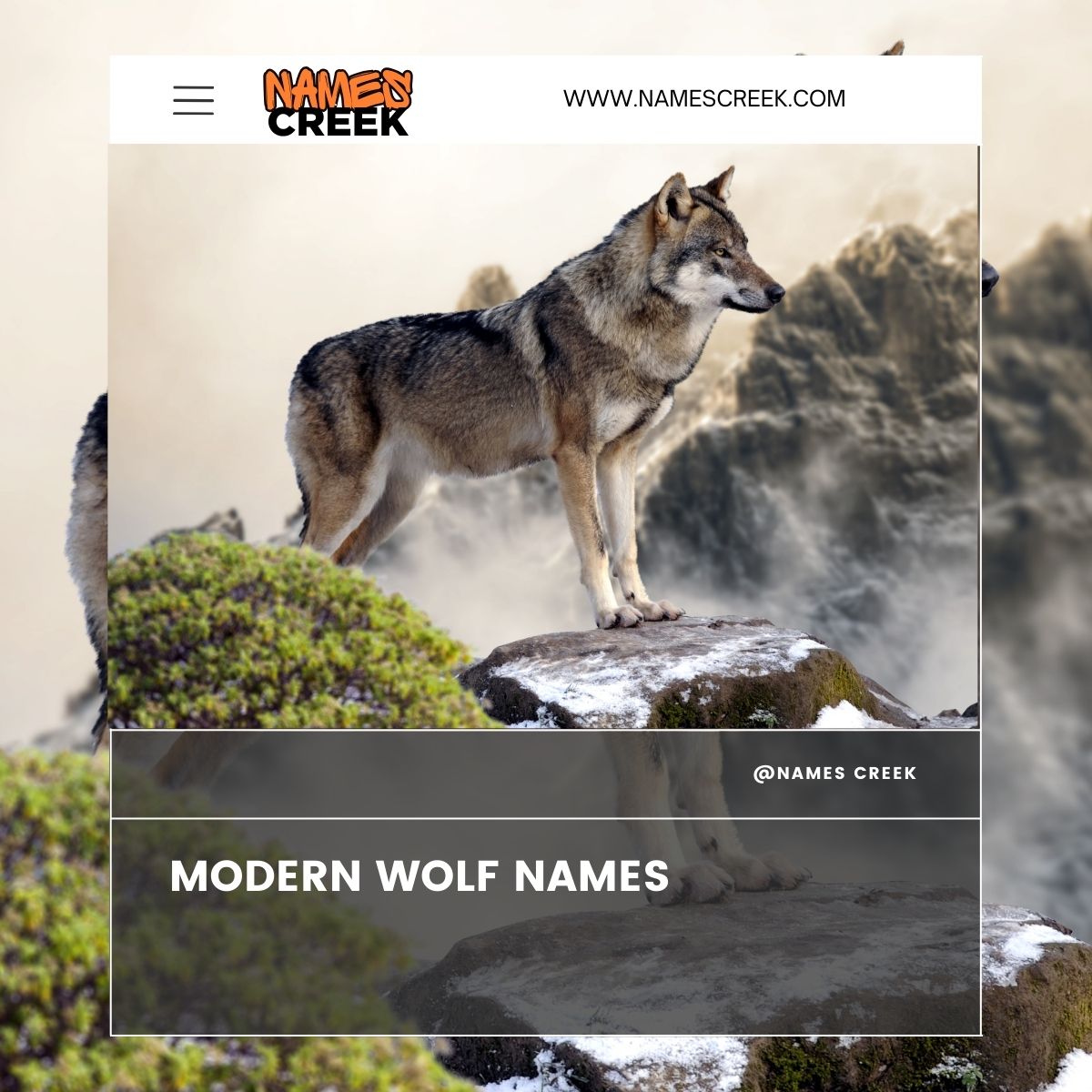 250 Wolf Names: Strong, Unique, And Unforgettable + AI Generator
