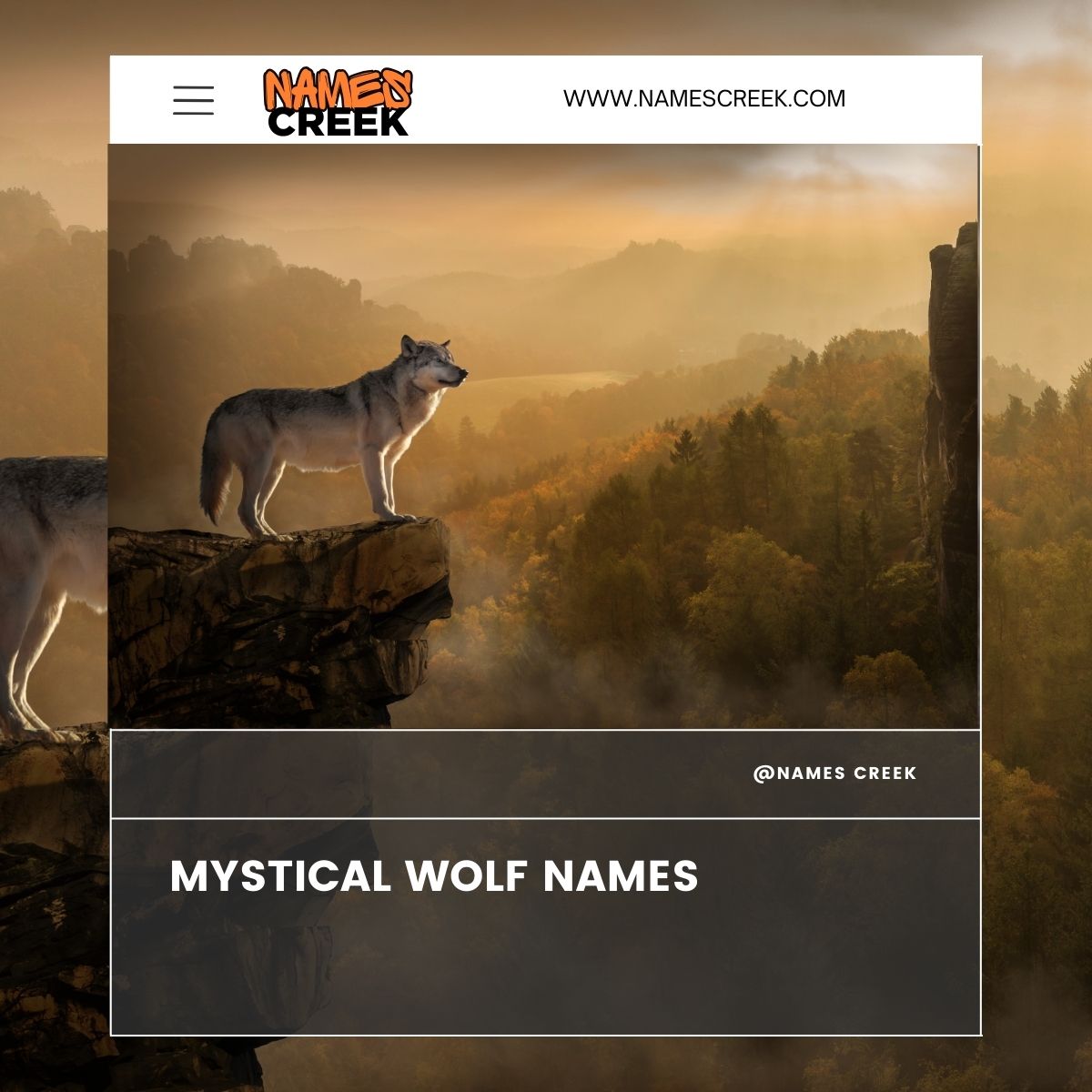 250 Wolf Names: Strong, Unique, And Unforgettable + AI Generator