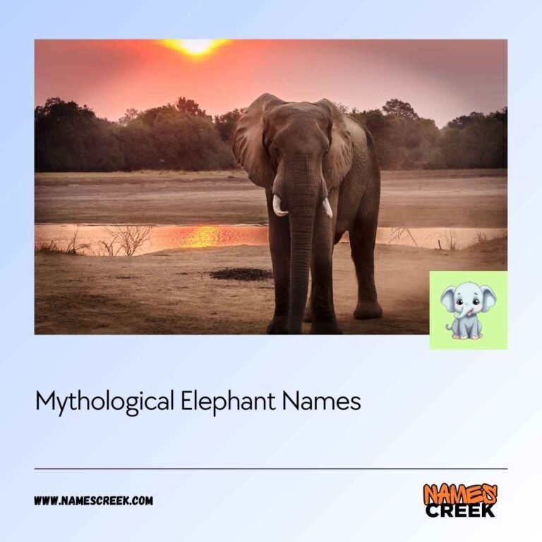 160 Funny Elephant Names : Get Ready To Laugh Out Loud! (With Generator)