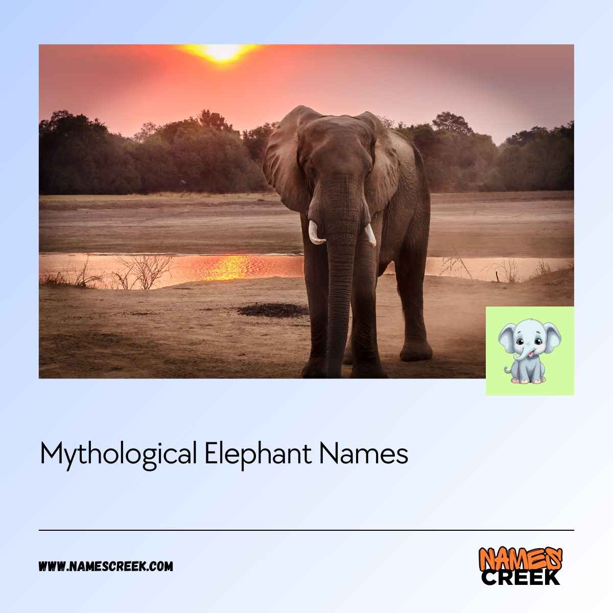 160 Funny Elephant Names : Get Ready To Laugh Out Loud! (With Generator)