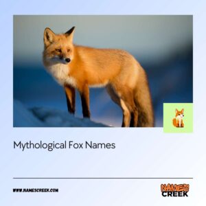 Top 500 Fox Names: Creative And Fun Names For Your Fox Companion