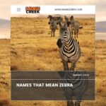 365 Unique Zebra Names For Your Striped Friends With AI Generator