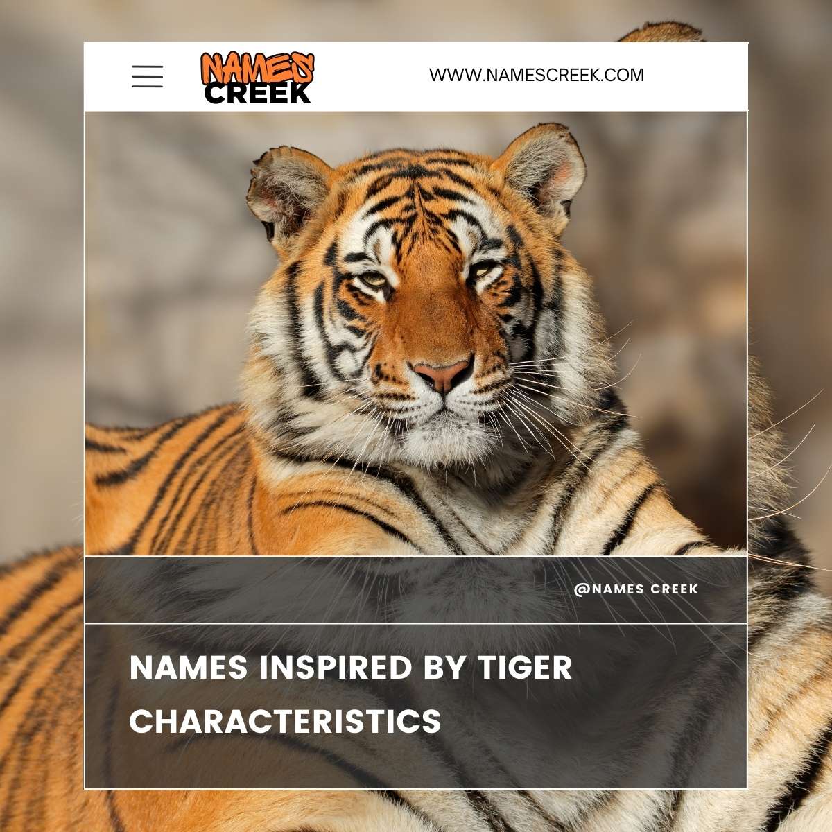 500 Best Tiger Names For Your Fierce And Fabulous Feline With Ai Generator