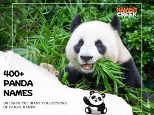 400+ Unique Panda Names To Choose For Your Adorable Furry Friend +Generator