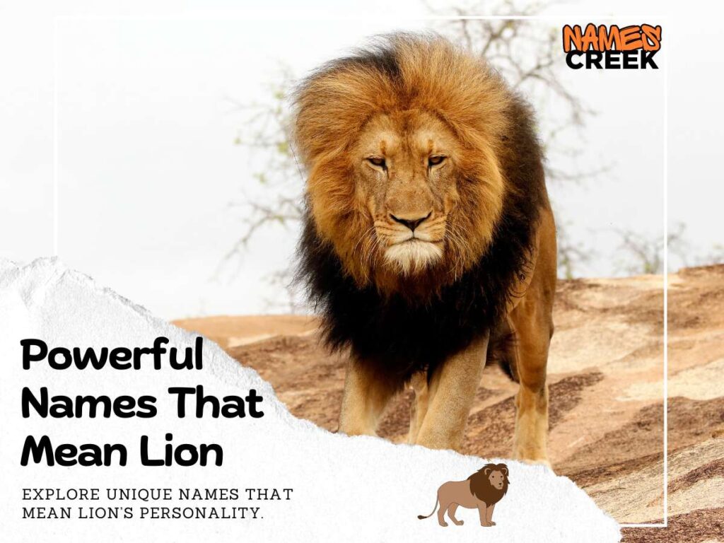 110+ Powerful Names That Mean Lion