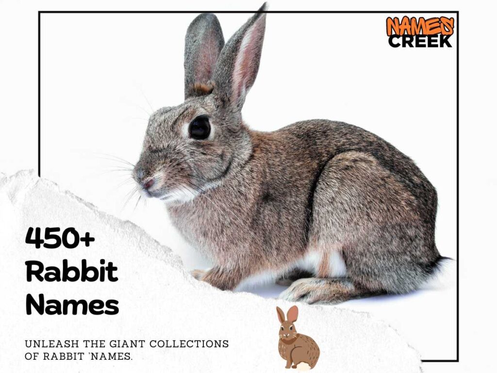 450+ Rabbit Names: Finding The Perfect Name For Your Bunny