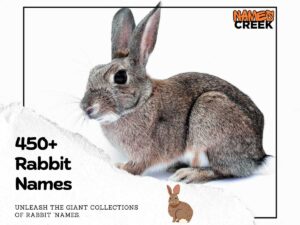 450+ Rabbit Names: Finding The Perfect Name For Your Bunny