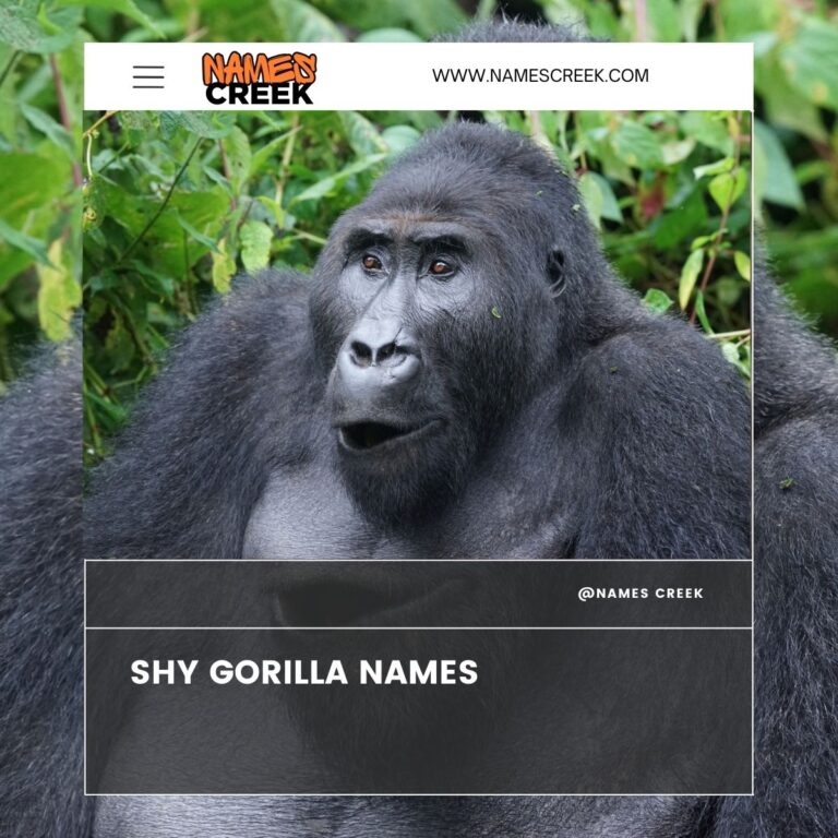 Unique Gorilla Names: Strength, Grace & Personality