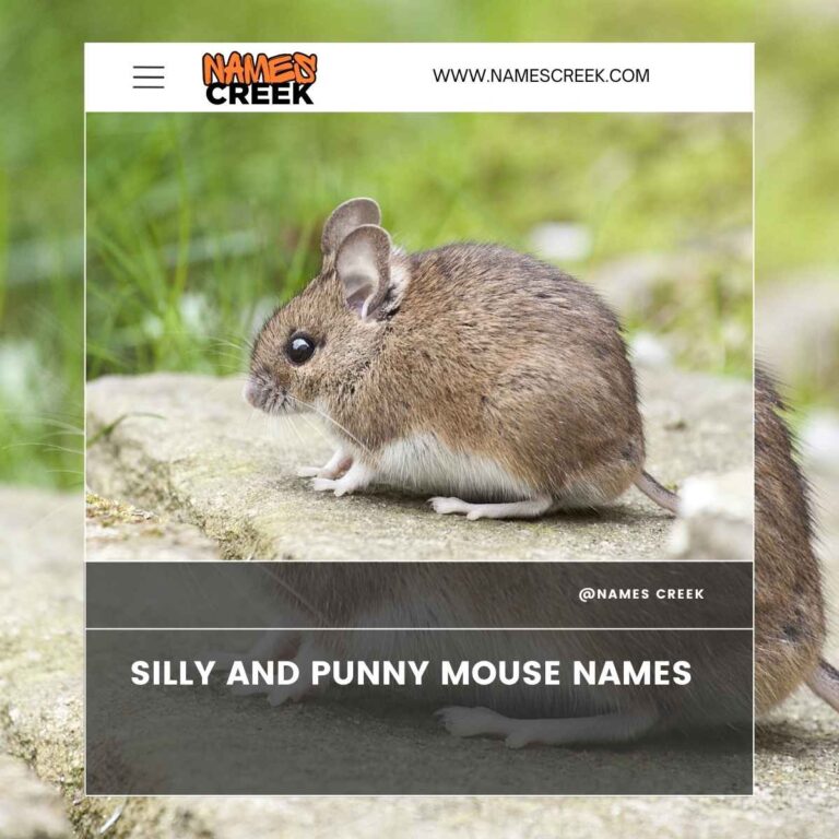 600 Funky And Fabulous Mouse Names