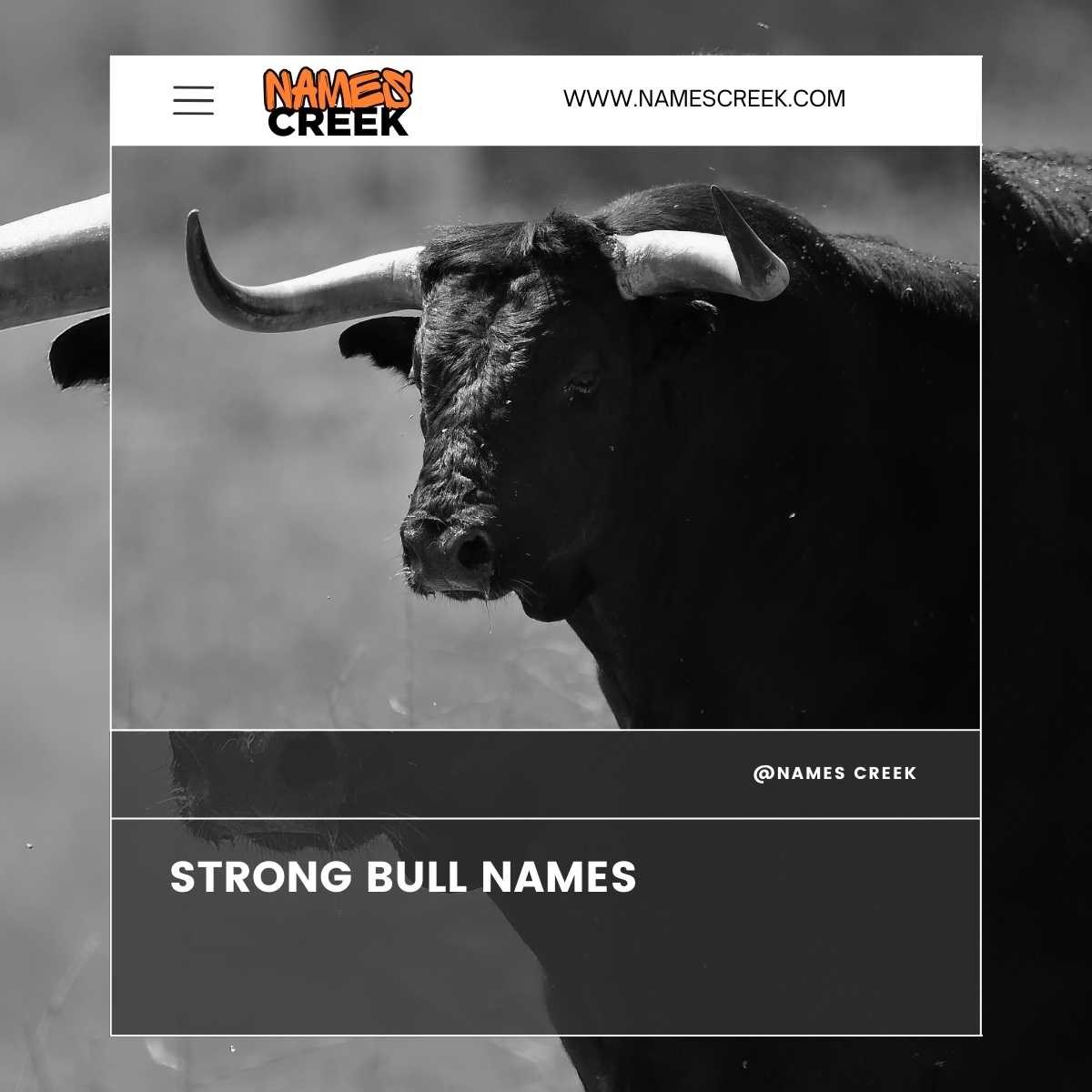 680 Unique Bull Names To Inspire Your Strong And Mighty Companion + Ai ...