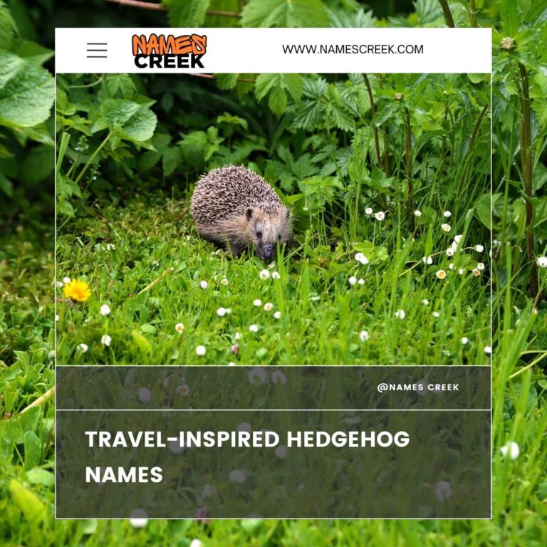 410+ Awesome Hedgehog Names