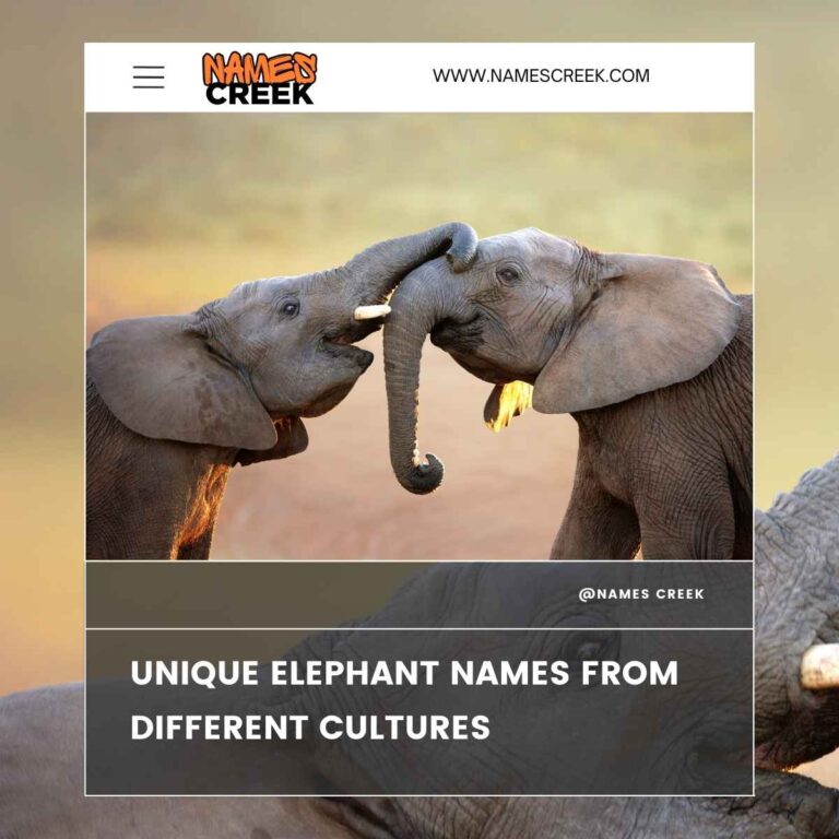160 Funny Elephant Names : Get Ready To Laugh Out Loud! (With Generator)
