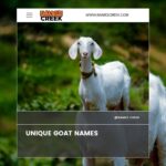 550+ Creative And Unique Goat Names For Your Beloved Pets