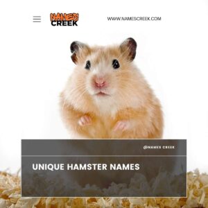 160+ Hamster Names: Cute, Funny And Unique Ideas