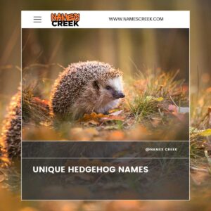 410+ Awesome Hedgehog Names