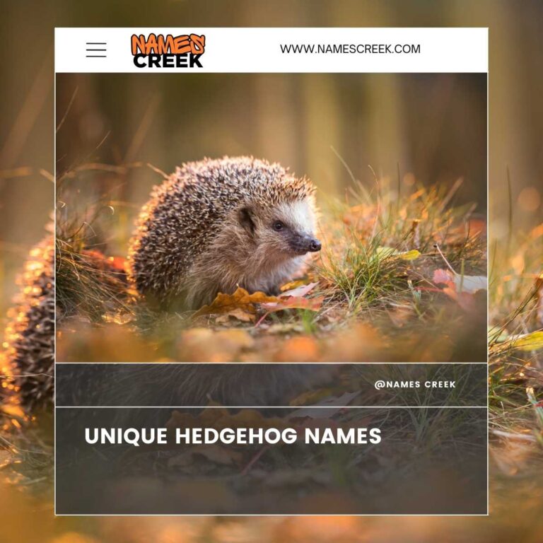 410+ Awesome Hedgehog Names