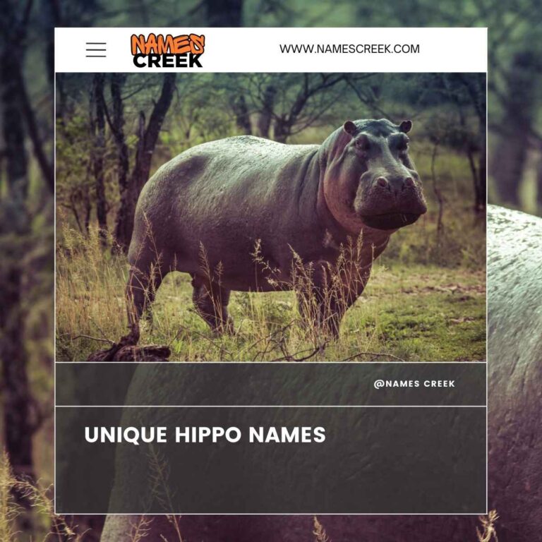 Top 400 Creative And Unique Hippo Names + Generator