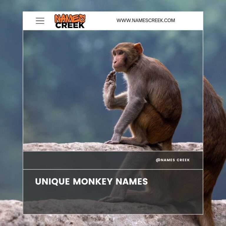 670+ Monkey Names: Unique Ideas For Naming Your Pet Monkey