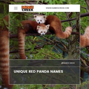 440 Adorable And Creative Red Panda Names For Your Cute Companion + Ai ...