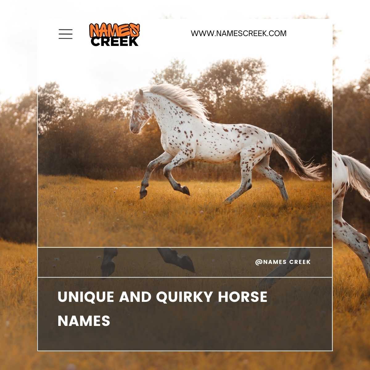 300 Stunning And Beautiful Horse Names