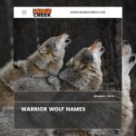 250 Wolf Names: Strong, Unique, And Unforgettable + AI Generator