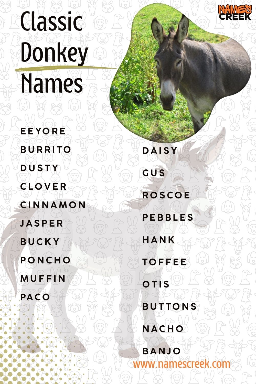 460 Best Donkey Names For Your Furry Friend + Ai Generator
