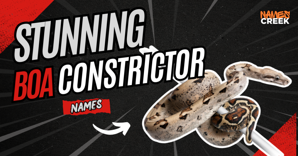340 Stunning Boa Constrictor Names