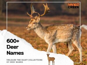 600+ Deer Names Charming And Classy With Generator