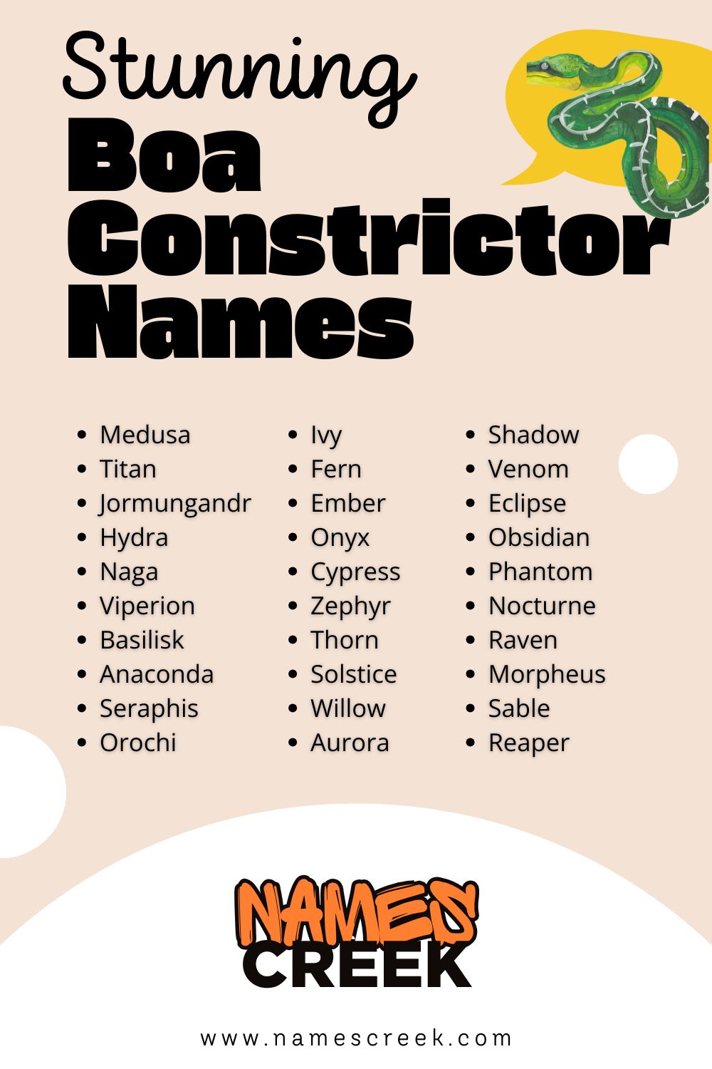 340 Stunning Boa Constrictor Names