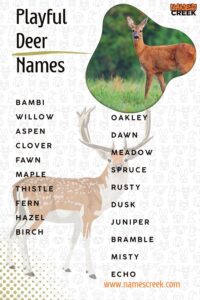 600+ Deer Names Charming And Classy With Generator