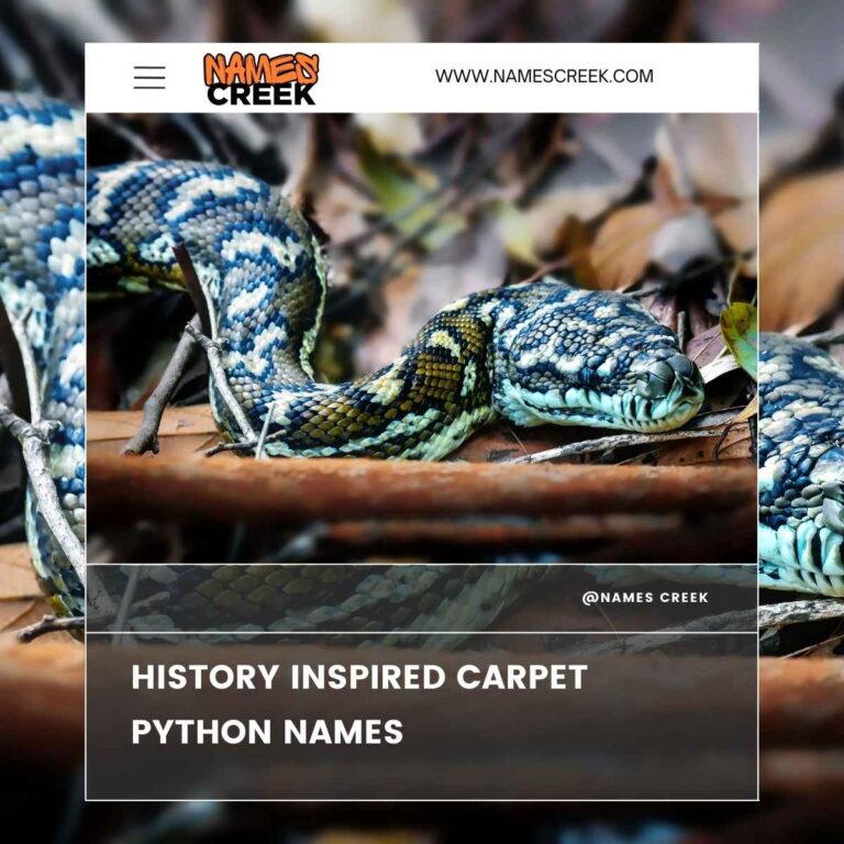 120 Fun And Fabulous Carpet Python Names