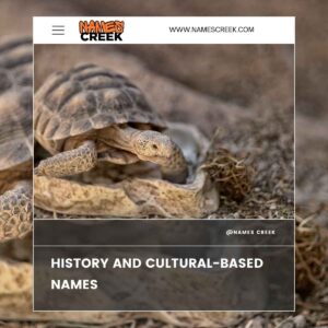 120 Desert Tortoises Names