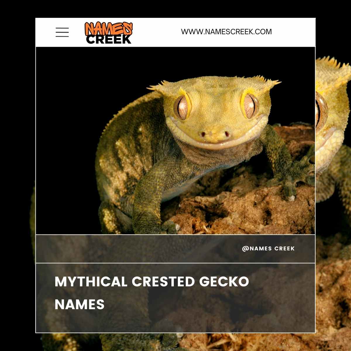 460 Crested Gecko Names With AI Generator