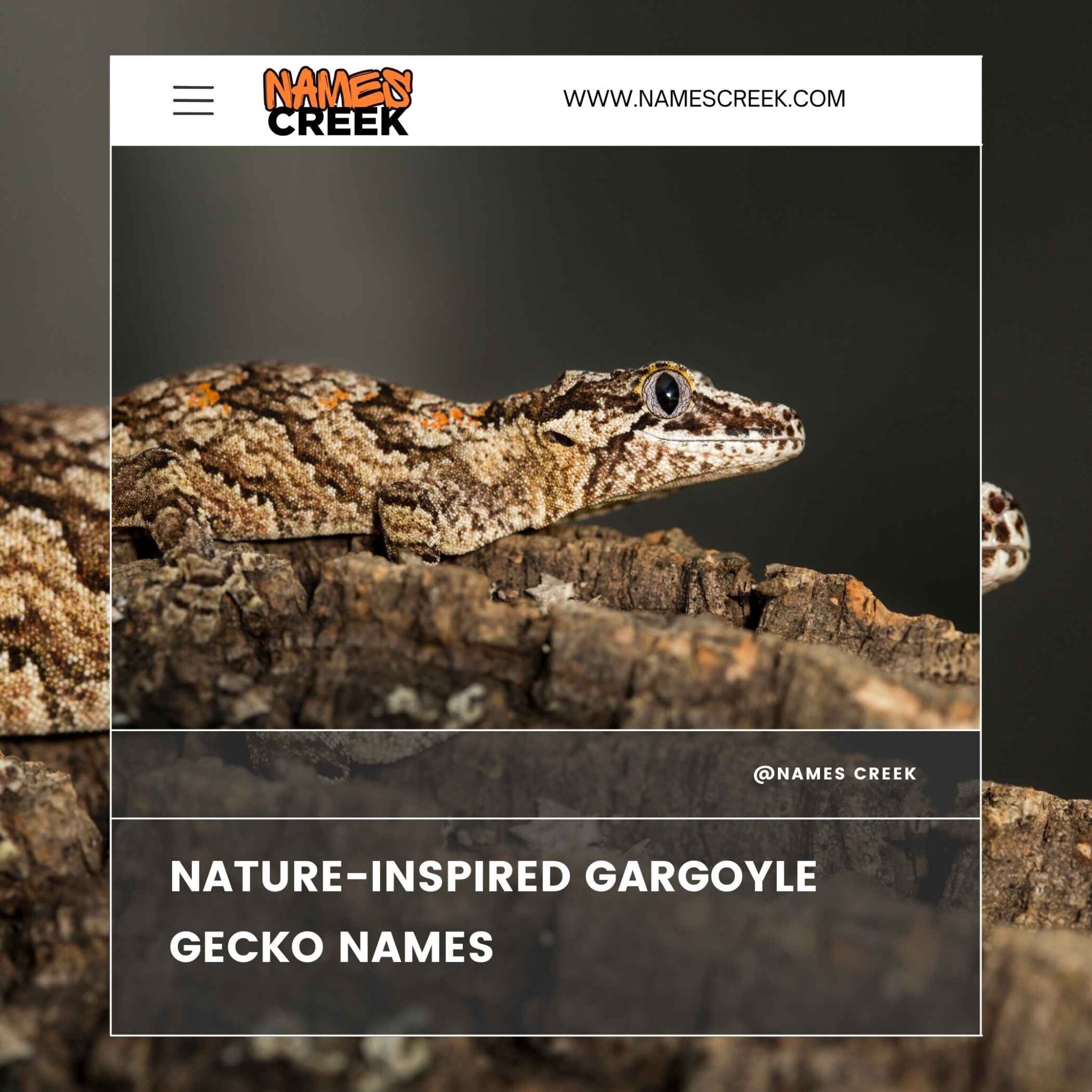 420 Gargoyle Gecko Names With Ai Generator