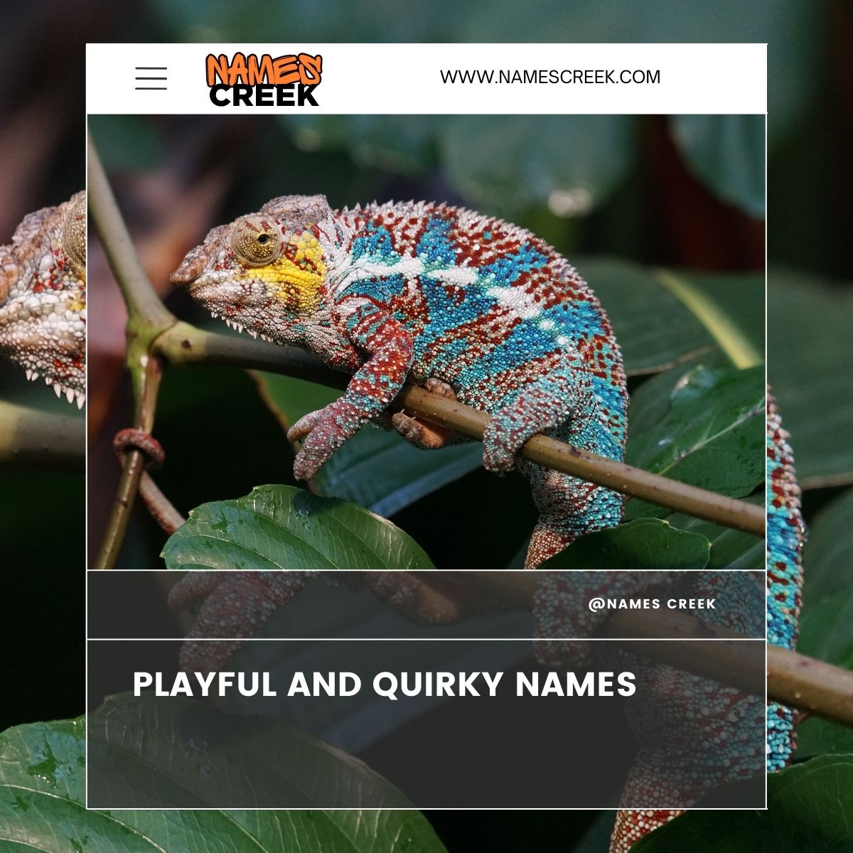 420+ Chameleon Names With Bonus Holiday Choices With Ai Generator