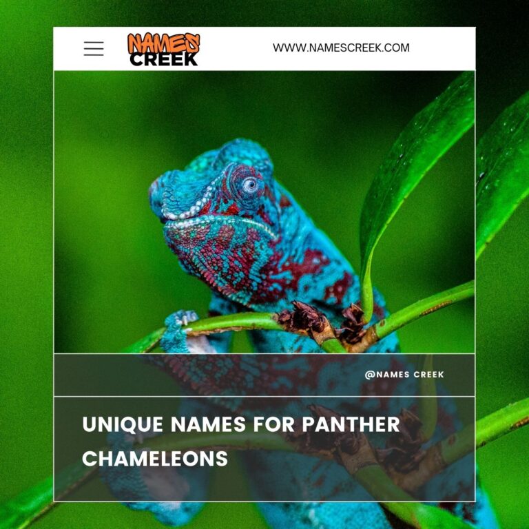 420+ Chameleon Names With Bonus Holiday Choices With Ai Generator