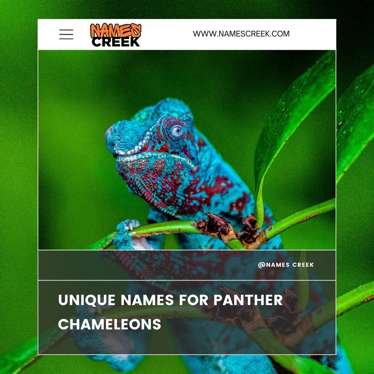 420+ Chameleon Names With Bonus Holiday Choices With Ai Generator