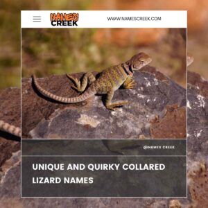 101+ Pet Collared Lizard Names