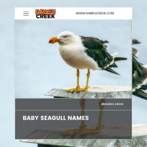 Discovering 360 Seagull Names: A Comprehensive Guide + Ai Generator