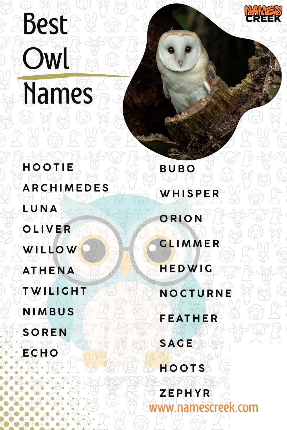 550+ Cute Owl Names: From Mythology To Modern Monikers +Generator