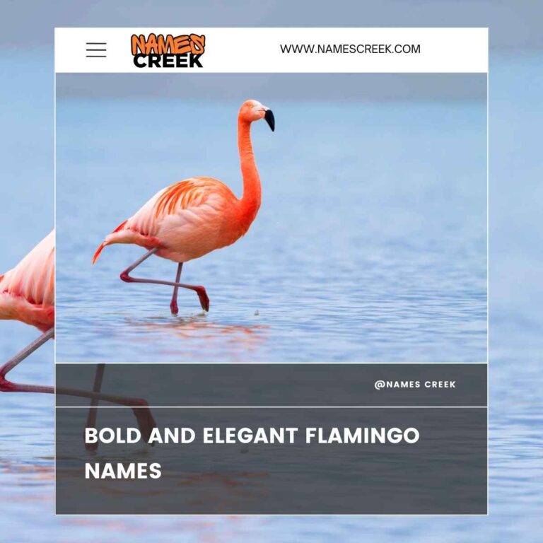 477 Flamingo Names: A Colorful Collection
