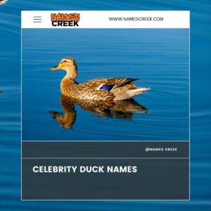 250 Delightful Duck Names: From Classic To Quirky With Generator