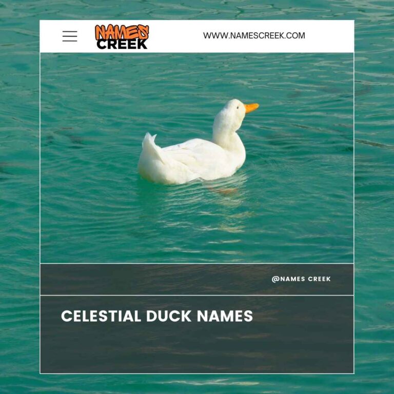 250 Delightful Duck Names: From Classic To Quirky With Generator