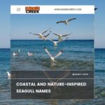 Discovering 360 Seagull Names: A Comprehensive Guide + Ai Generator